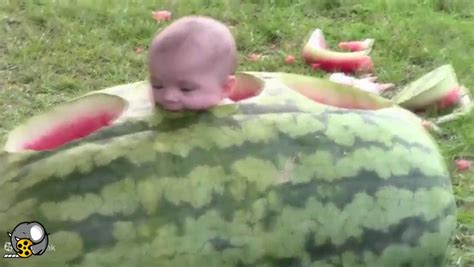 قیافه ی این با مزه ها هنگام خوردن فیلو