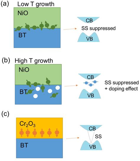 Schematic Of TI Transition Metal Oxide Heterostructure In This Work Download Scientific