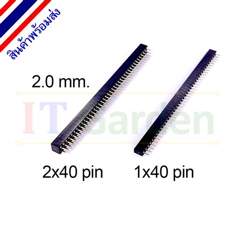 Single Row Double Row Pin Header Mm X Pin X Pin Shopee Thailand