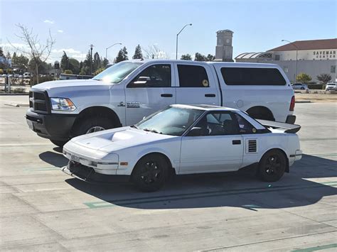 Turtle Stickers Marlin Crawler Off Road