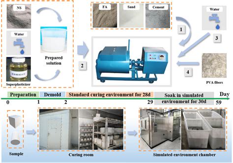 Flowchart Of Specimen Preparation And Maintenance Download Scientific Diagram