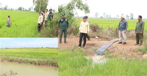 ស្រូវប្រាំងនៅស្រុកតាំងគោក ខេត្តកំពង់ធំ ដែលកំពុងខ្វះទឹកស្រោចស្រព ត្រូវបានអាជ្ញាធជួយសង្គ្រោះ Cnc