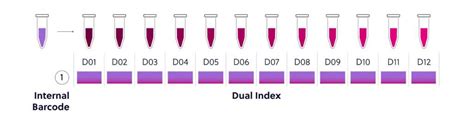 Beyond Template Switching Immune Sequencing