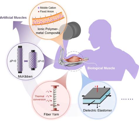 Fluid Driven Artificial Muscles Bio Design Manufacturing Sensing Control And Applications