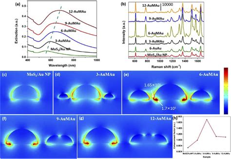 A Extinction Spectra Of The 2d Structures B The Sers Spectra Of Download Scientific