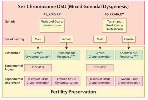 Disorders Of Sex Development—novel Regulators Impacts On Fertility And Options For Fertility