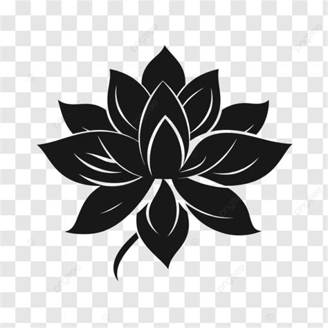 흰색 바탕에 검은색 연꽃 벡터 흰색 배경에 아름다운 꽃의 단순한 검은색 아이콘 그림자 없음 작은 프레임 중앙 Png 일러스트 및 벡터 에 대한 무료 다운로드