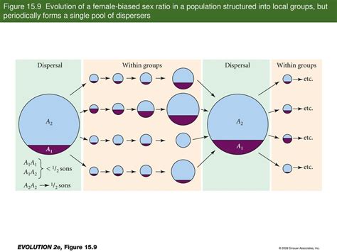 Chapter 15 Opener Mating Ritual Ppt Download