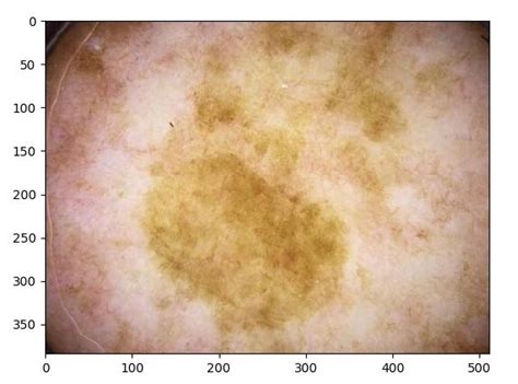 Guidedgradcam On Efficientnet Captum Pytorch Forums