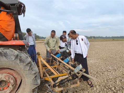 ဝါးခယ်မမြို့နယ်၌ နေကြာစိုက်ပျိုး‌နေမှုအား ကွင်းဆင်းကြည့်ရှု