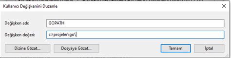 Windows 10 Golang Kurulumu Evren BAL