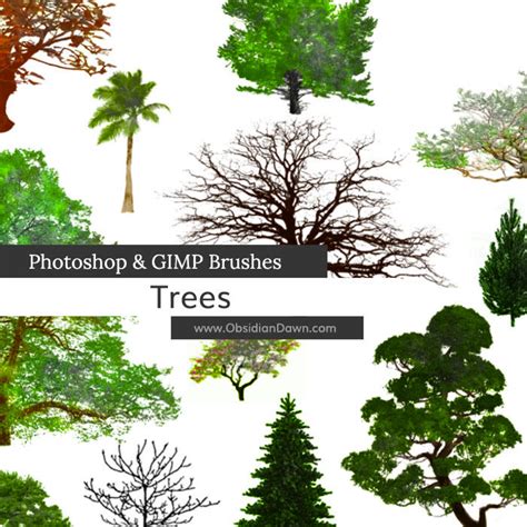 Trees Photoshop And Gimp Brushes By Redheadstock On Deviantart Trees Photoshop And Gimp Brushes By Redheadstock On Deviantart
