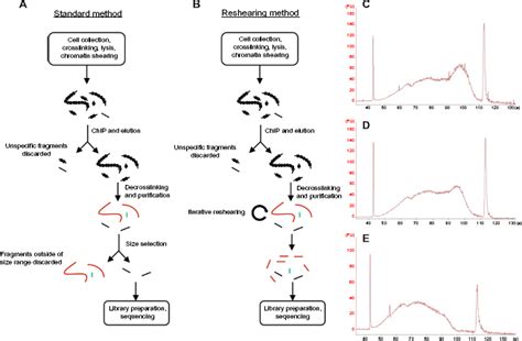 Overview And Effect Of The Reshearing Method A The Relevant Steps Of