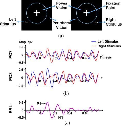 Figure 1 From Discriminative Canonical Pattern Matching For Single Trial Classification Of Erp