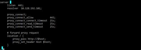 nginx forward proxy how to use nginx forward proxy classification
