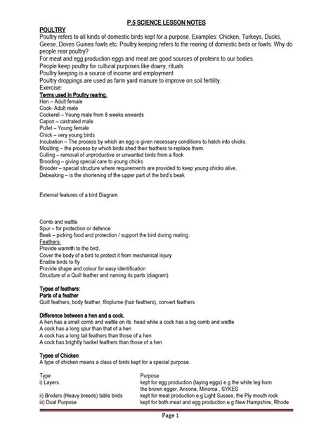 P5 Primary Five Sci Notes Teacher Ac Pdf