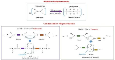 Condensation Polymers Assignment Point
