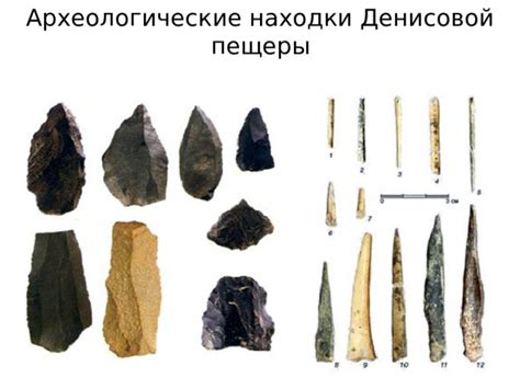 Презентация Древние люди и их стоянки на территории современной России