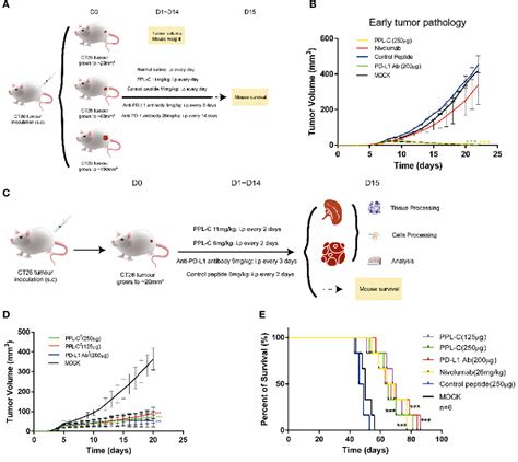 Figure 1 From Pd L1 Targeted Peptide Demonstrates Potent Antitumor And Immunomodulatory Activity