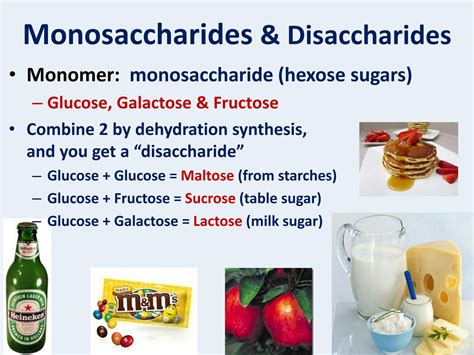 Solution Unit 1 Biomolecules Carbohydrates And Lipids Studypool