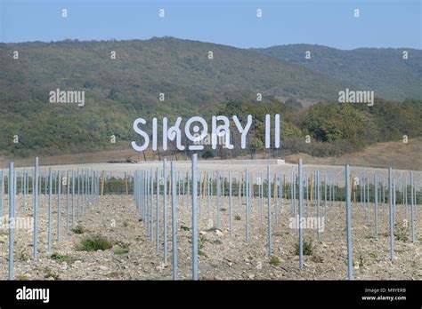 Novorossiysk, Russia - September 30, 2017: Sikory 2 Vineyards in the ...