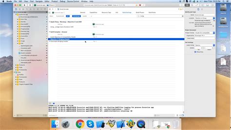 Bridging Header Error On Xcode Youtube