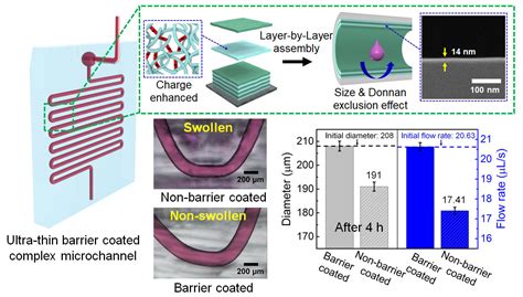 Highly Penetrant Organic Solvent Resistant Layer By Layer Assembled Ultra Thin Barrier Coating