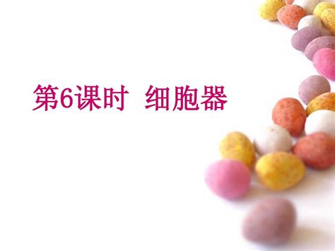 生物必修一第6课时：细胞器—系统内的分工合作 Word文档在线阅读与下载 无忧文档