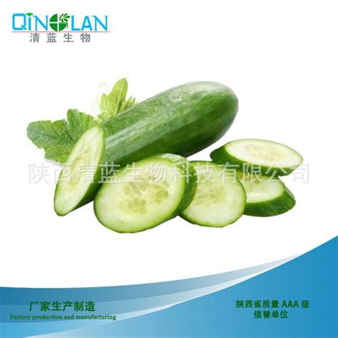 Cucumber Concentrate Extract Powder 10 1 Cucumber Juice Ql1702154667h Qinlan China