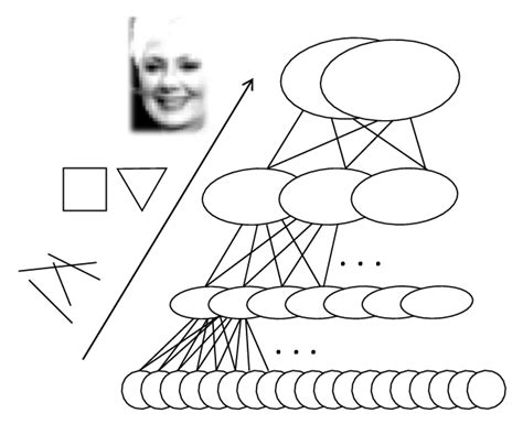 A Layers I VI Of The Visual Cortex Are Shown In A Cross Section Download Scientific