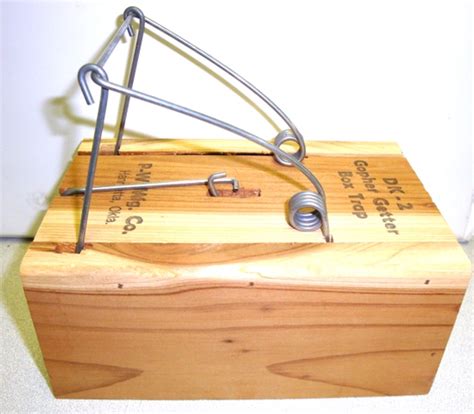 Gopher Getter Wood Box Trap Gopher Trap Model Dk 2 This Easy To Set
