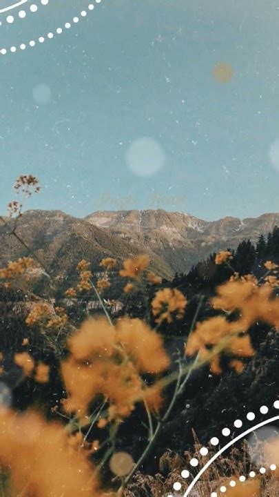 Siyabala Malak නෙතු සිබින Whatsapp Status Puzzle Heart Love Song Trending Viral Sinhala