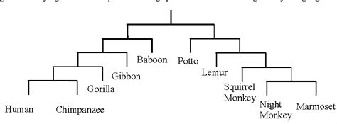 Figure 1 From Molecular Phylogeny Analysis Using Correlation Distance