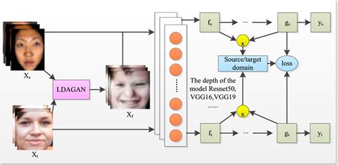 Model Cada Structure Of Conditional Confrontation Domain Adaptive Download Scientific Diagram