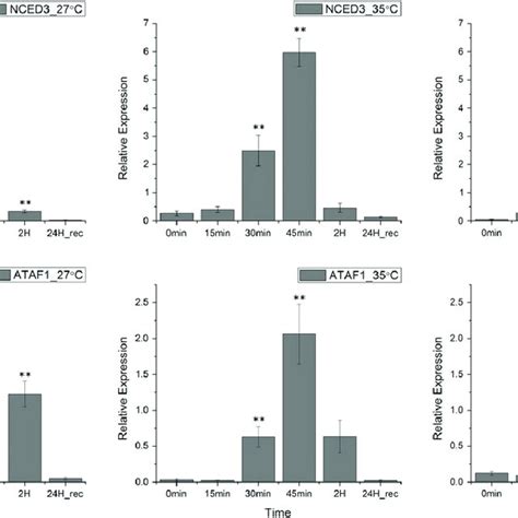 Quantitative Expression Analysis Of Candidate Genes For Aba Drought Download Scientific Diagram