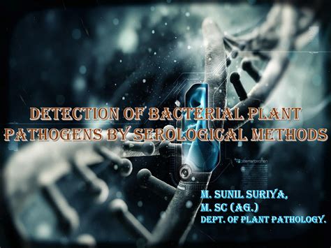 Detection Of Bacterial Plant Pathogens By Serological Methods 2 Pdf