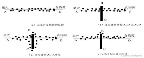 蚁群算法实验室：深入探索优化算法 Csdn博客