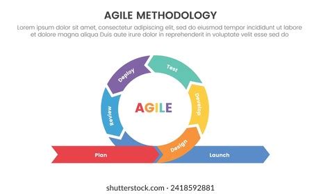 Agile Sdlc Methodology Infographic 7 Point Stock Vector Royalty Free