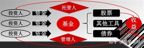基金新手入门知识以及相关介绍小白必看 知乎