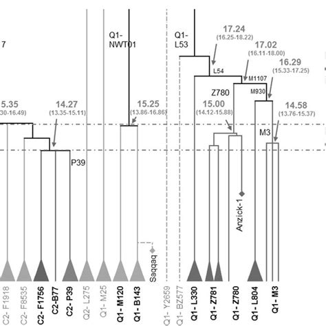 Founding Paternal Lineages Of American Aborigines And Their Most Download Scientific Diagram