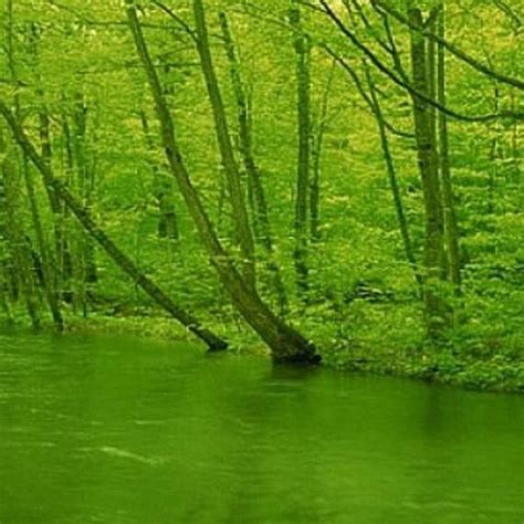 李小龙传奇一生伤感背景音乐 查尔斯 高音质在线试听 李小龙传奇一生伤感背景音乐歌词 歌曲下载 酷狗音乐