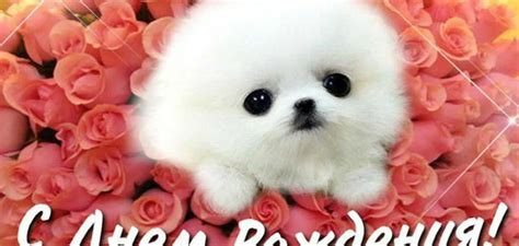 ﻿Сестру юлю с днем рождения картинки 85 фото