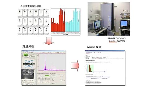 宮崎大学生体分子機能化学研究室榊原黒木研