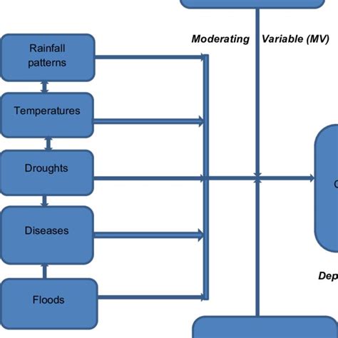 Conceptual Framework Figure 1 Is A Diagrammatic Representation Of The Download Scientific