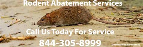 Rodent Abatement Rat Removal Rodent Abatement Letter