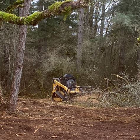 Small Projects Staton Forestry