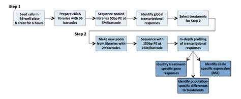 A High Throughput Rna Seq Approach To Profile Transcriptional Responses Rna Seq Blog