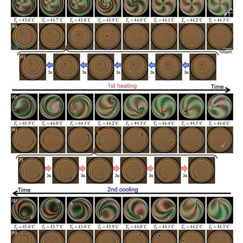 Observation Of The Formation Deformation And Reconnection Of Defect