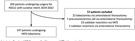 Figure 1 From A Successful Shift From Thoracotomy To Video Assisted Thoracoscopic Lobectomy For