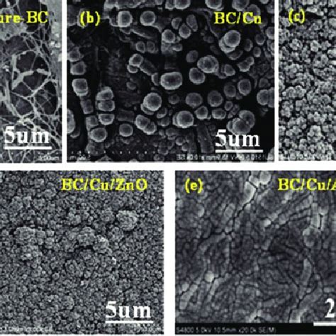 Pdf Development Of Bacterial Cellulose Nanocomposites An Overview Of The Synthesis Of